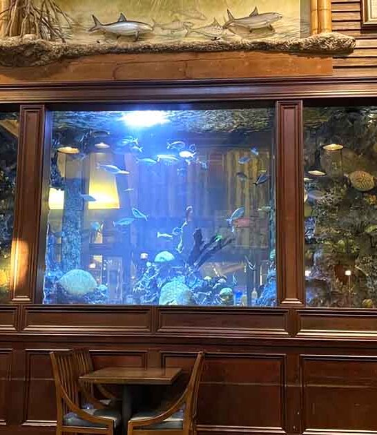 dine surrounded fish virginia ftr