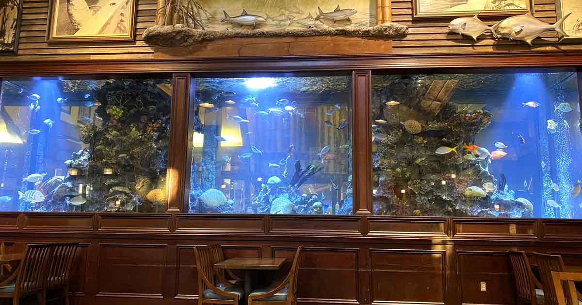 You Can Dine Surrounded By Fish At This Magical Restaurant In Virginia