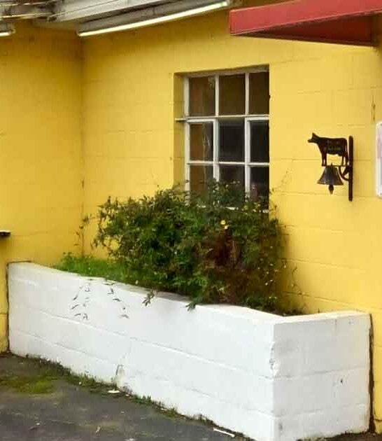 diner south carolina tasty ftr