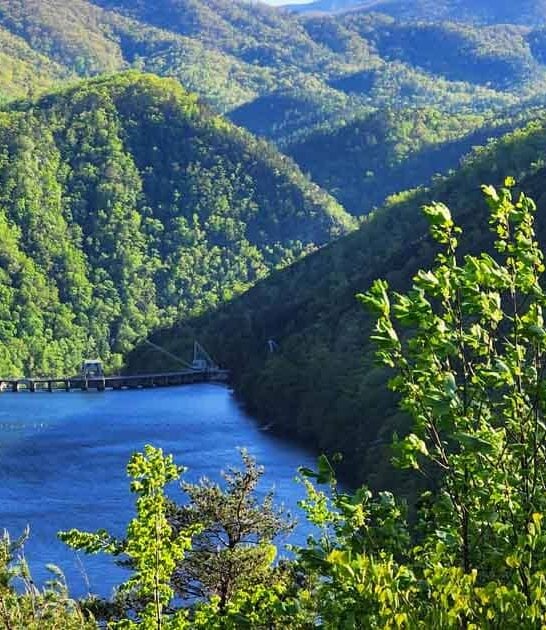 dirt cheap north carolina ftr