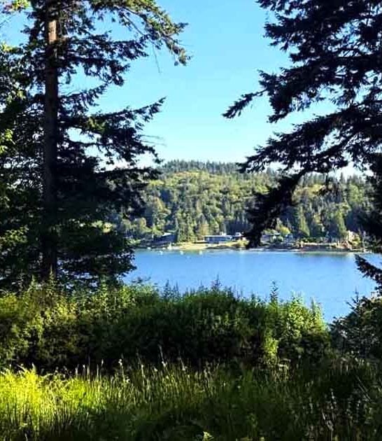 discovered known gems washington ftr