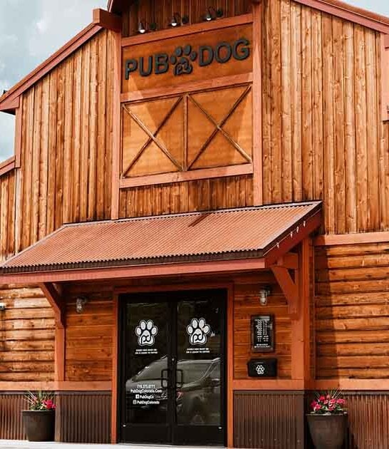 dog friendly colorado pub ftr