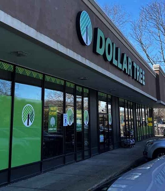 dollar store connecticut paradise ftr