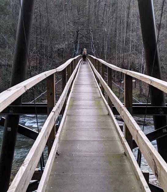 dreamlike north carolina park ftr