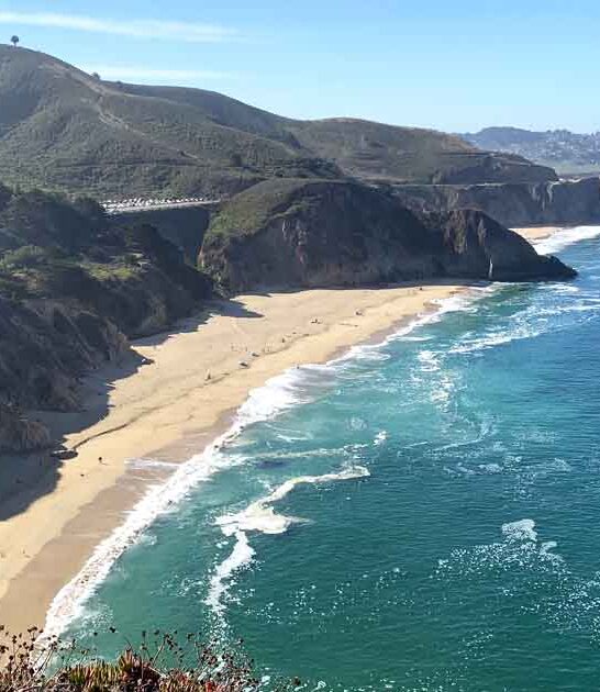 dreamy california beach searching ftr