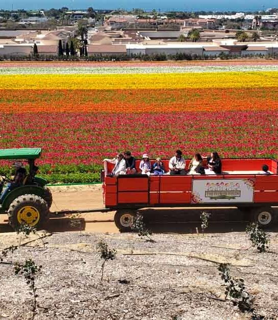 dreamy colorful places california ftr