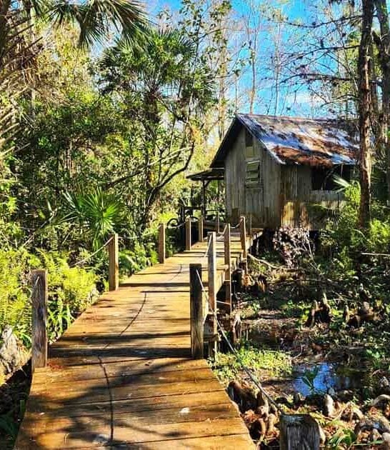 dreamy florida park outdoor ftr