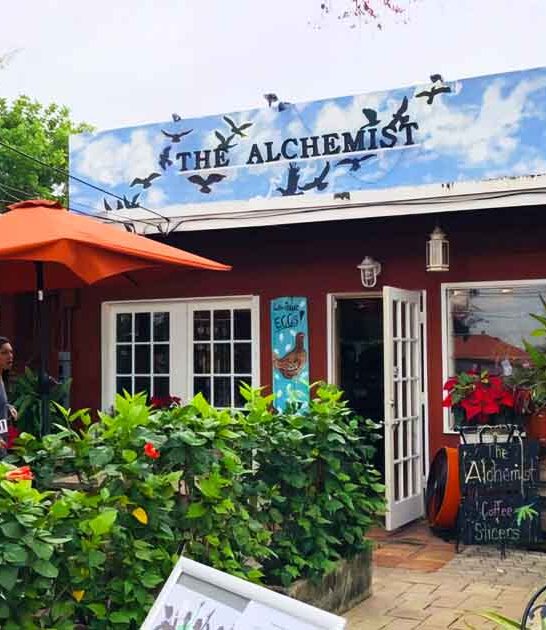 dreamy garden cafe florida ftr