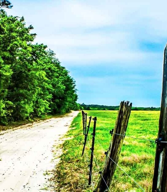 dreamy georgia state park ftr