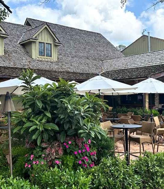 dreamy greenhouse restaurant alabama ftr