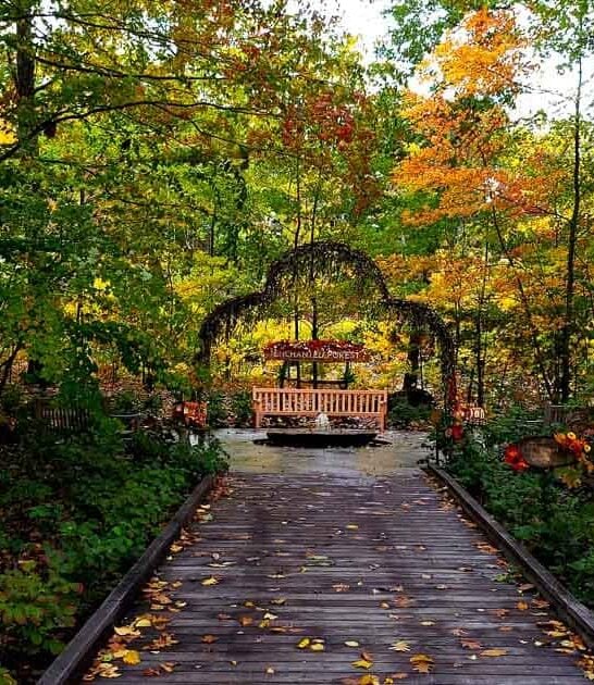 dreamy massachusetts botanical garden ftr