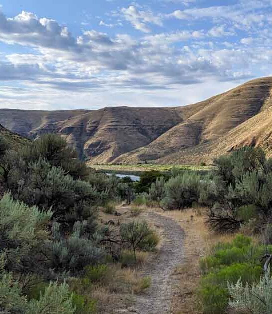 dreamy oregon park outdoor ftr