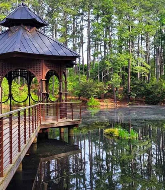 dreamy south carolina garden ftr