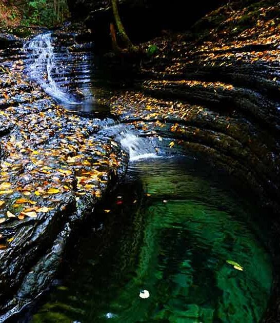 dreamy spots virginia magical ftr