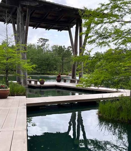 dreamy texas botanical garden ftr