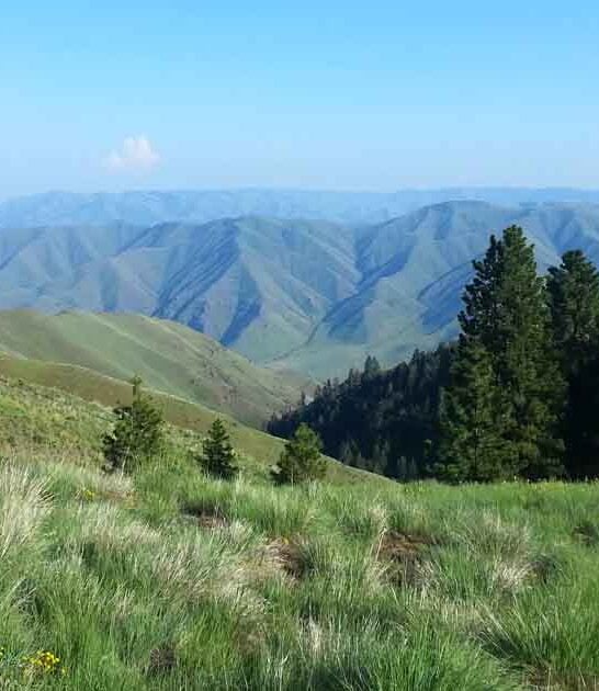 dreamy washington state park ftr