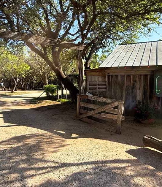 drive country texas restaurant ftr
