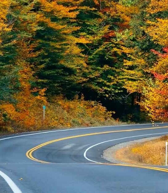 drive south carolina penny ftr