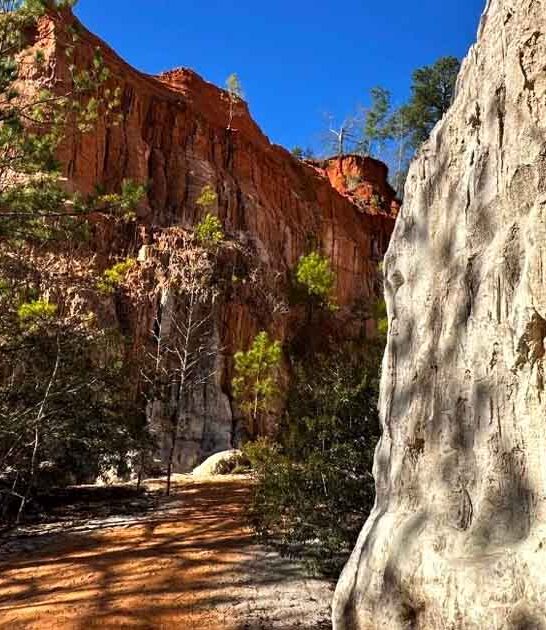 easy georgia trails ftr