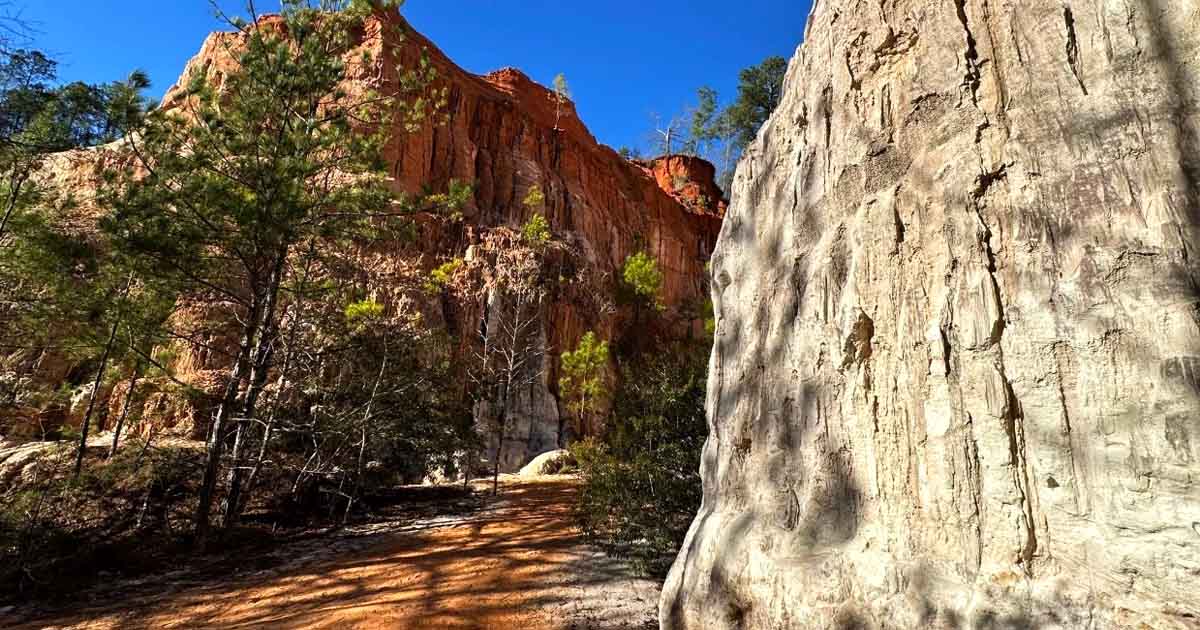 You Don't Have To Be A Serious Hiker To Love These 7 Easy Georgia ...