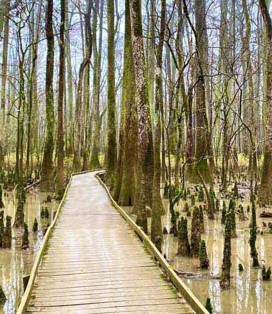 easy south carolina trails ftr