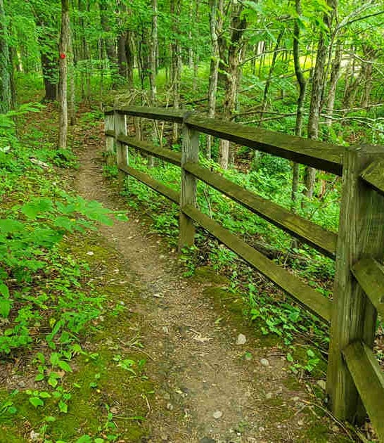 easy trails new york ftr