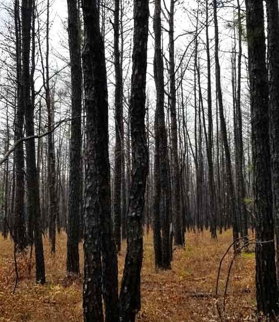 eerie destinations new jersey ftr