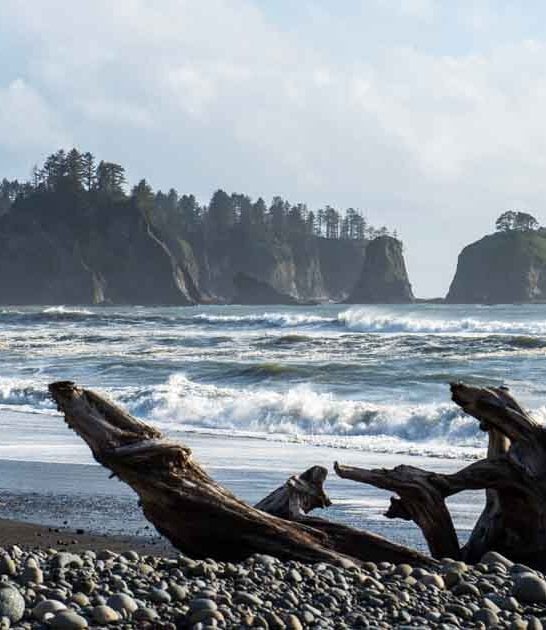 eight washington otherworldly beaches ftr
