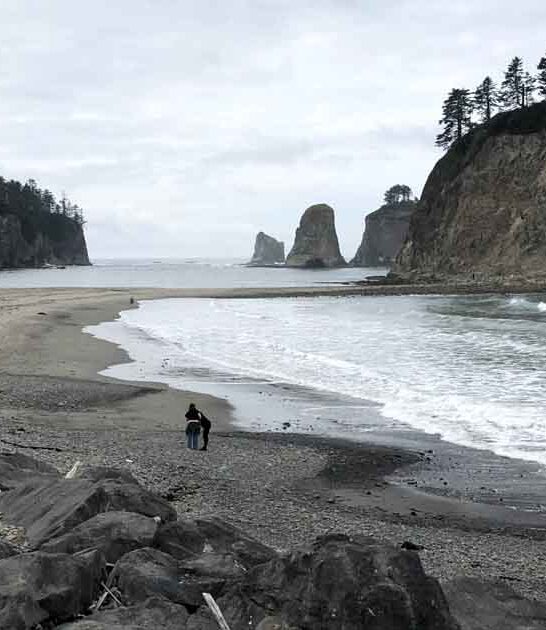 eight washington stunning beaches ftr