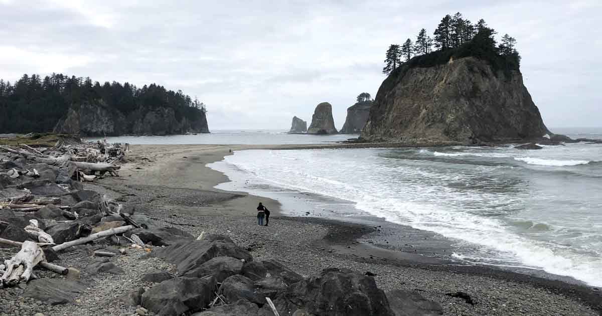 8 Stunning Washington Beaches That Will Make You Feel Like You've Left ...