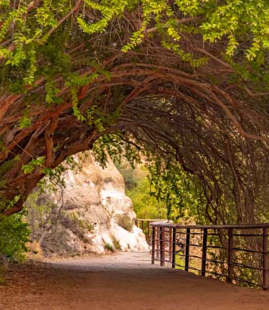 enchanting arizona spots getaway ftr