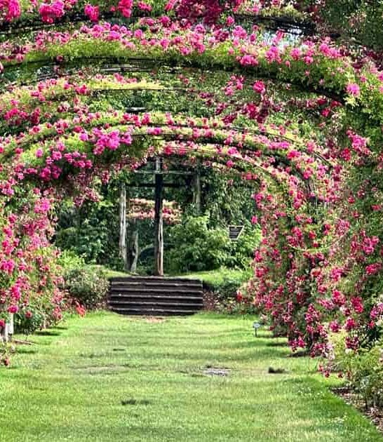 enchanting botanical garden connecticut ftr