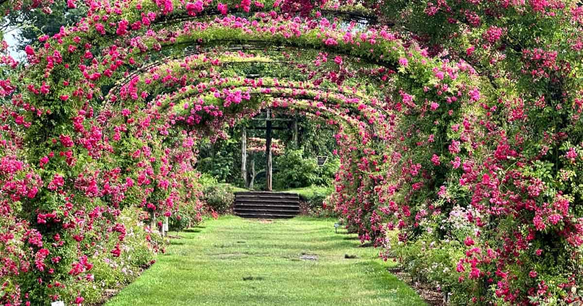 This Enchanting Botanical Garden In Connecticut Is One Of The Best Kept ...