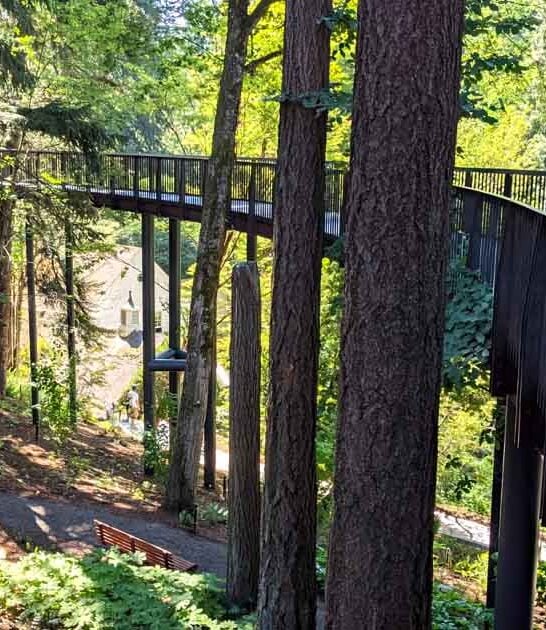 enchanting botanical garden oregon ftr