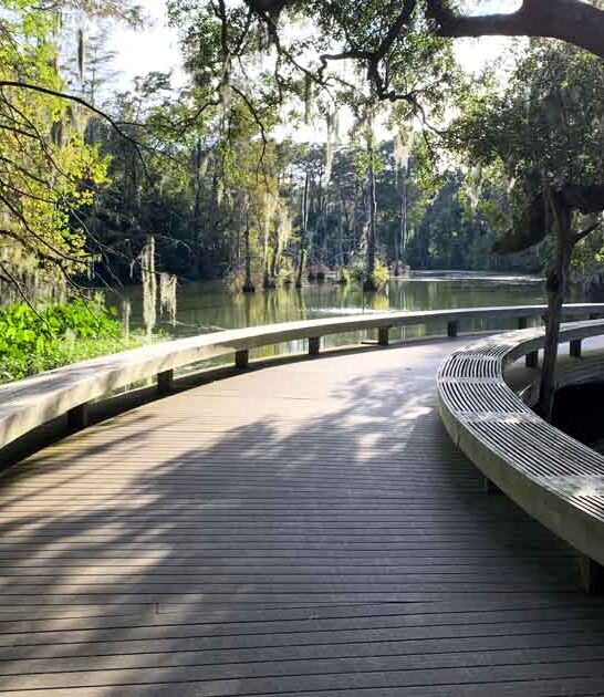 enchanting botanical garden texas ftr