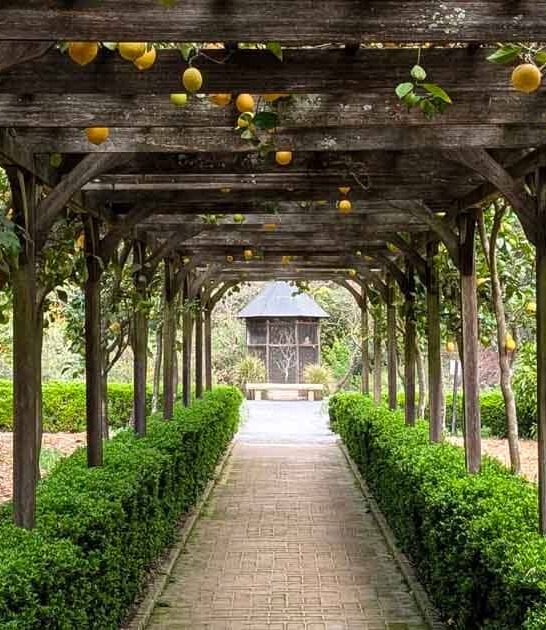enchanting california botanical garden ftr