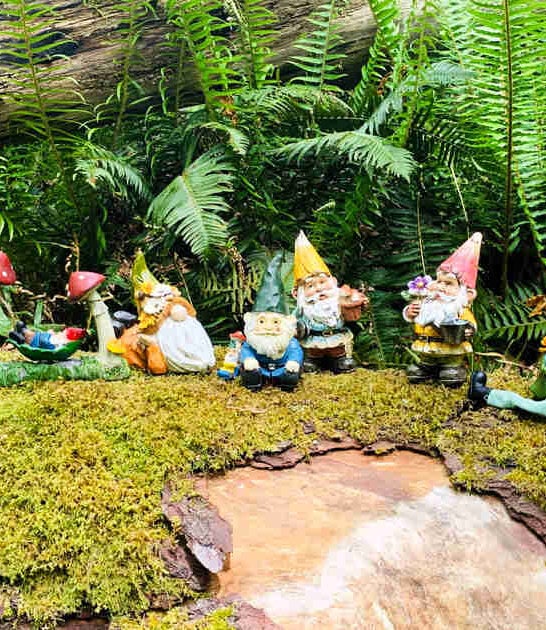 enchanting hidden gems washington ftr