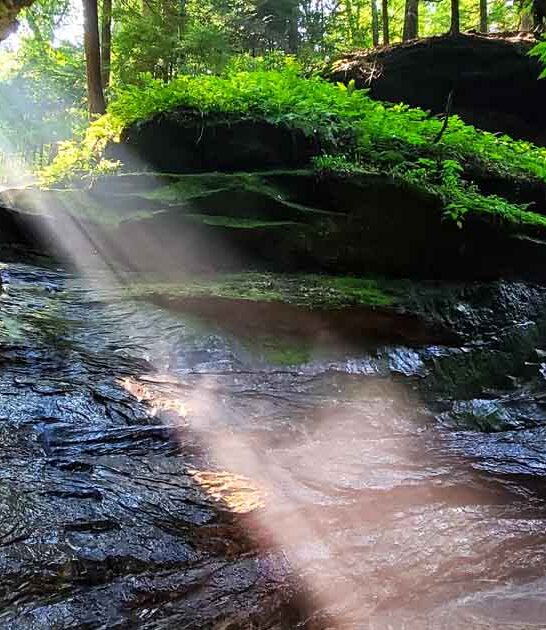 enchanting indiana state park ftr