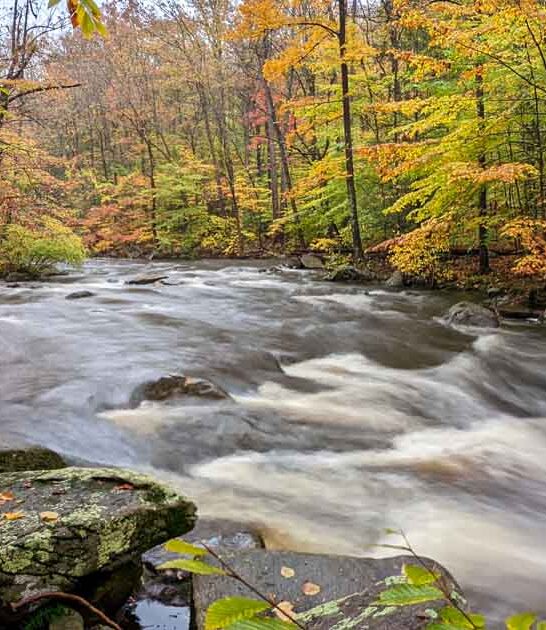 enchanting park new jersey ftr