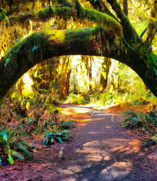 enchanting secret spots washington ftr