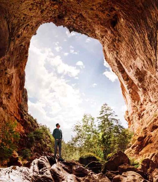 enchanting state park arizona ftr