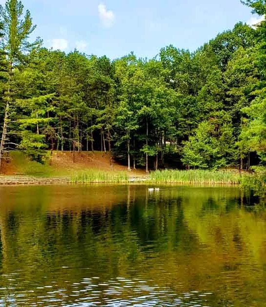 enchanting state park kentucky ftr