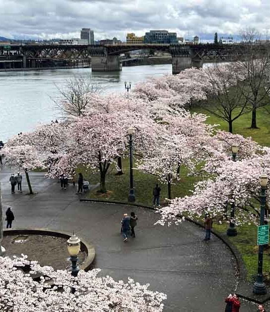 enchanting trail oregon magic ftr