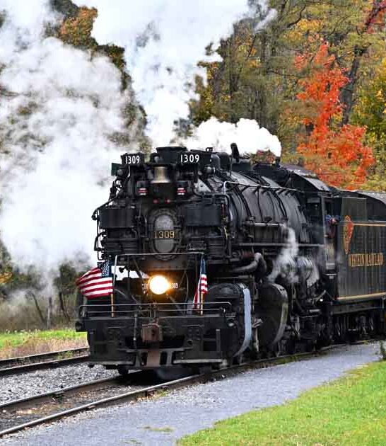 enchanting train ride maryland ftr