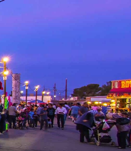 enormous arizona swap meet ftr