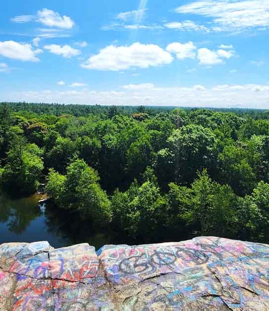 enormous massachusetts forest wonderful ftr