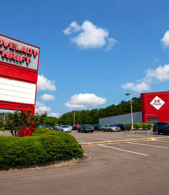 enormous store alabama bargain ftr