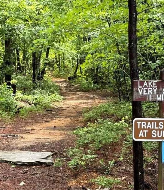 If You&rsquo;ve Never Hiked This Epic 1.5-Mile Trail In Alabama, You&rsquo;re Seriously Missing Out