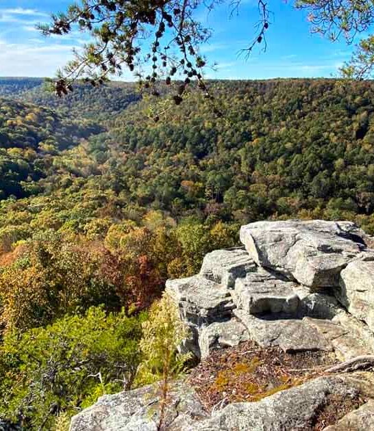 escape crowds park alabama ftr