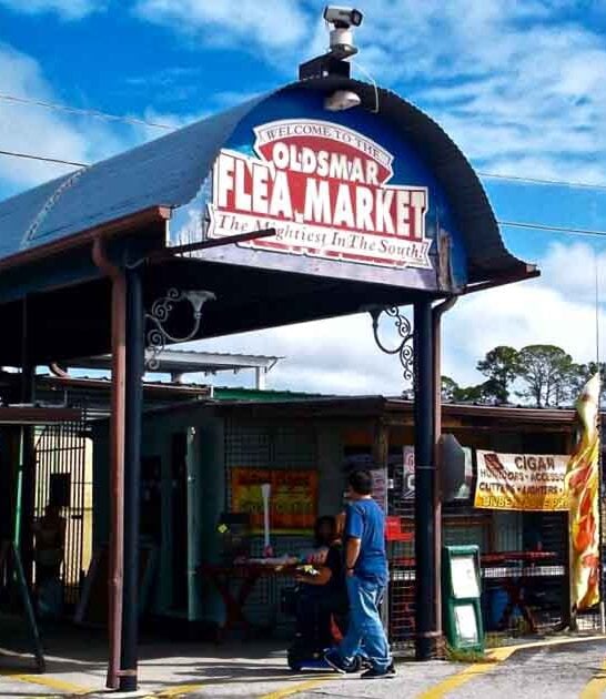 everyone florida flea market ftr